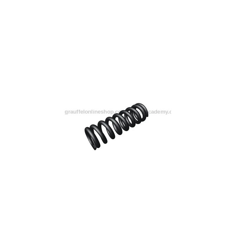 Disassembly plate spring for CZ P-10 gun family.